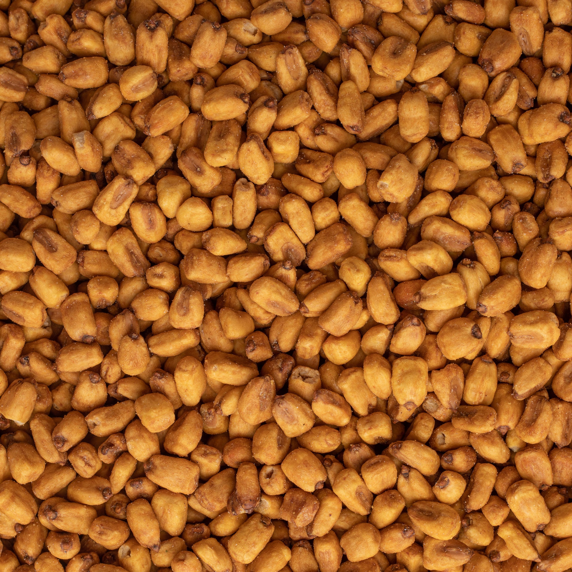 Maíz Tostado con sal de mar La Yunta | Mercado Vecinos Puerto Varas